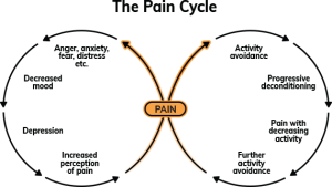 What is Pain? | Reach for the Facts